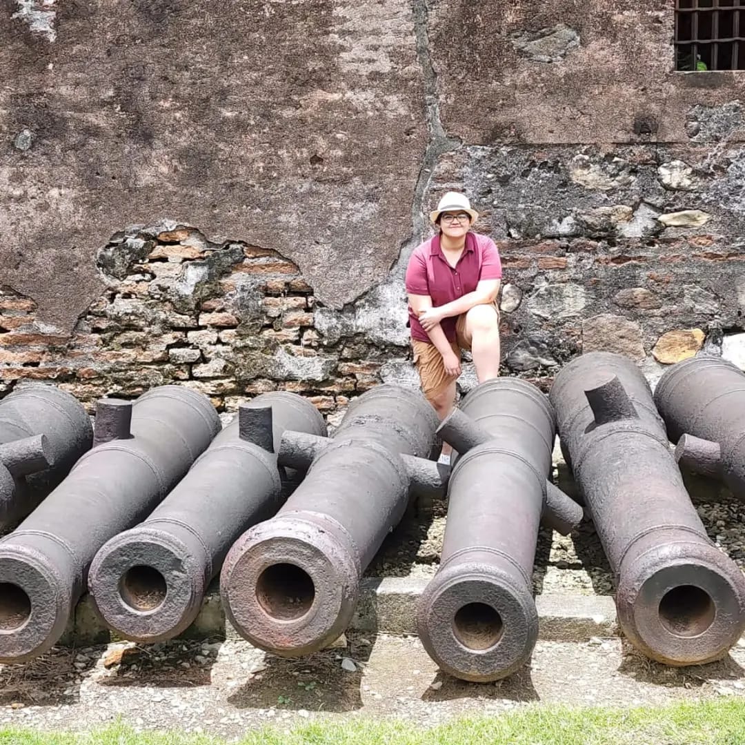 Portafolio de Proyectos